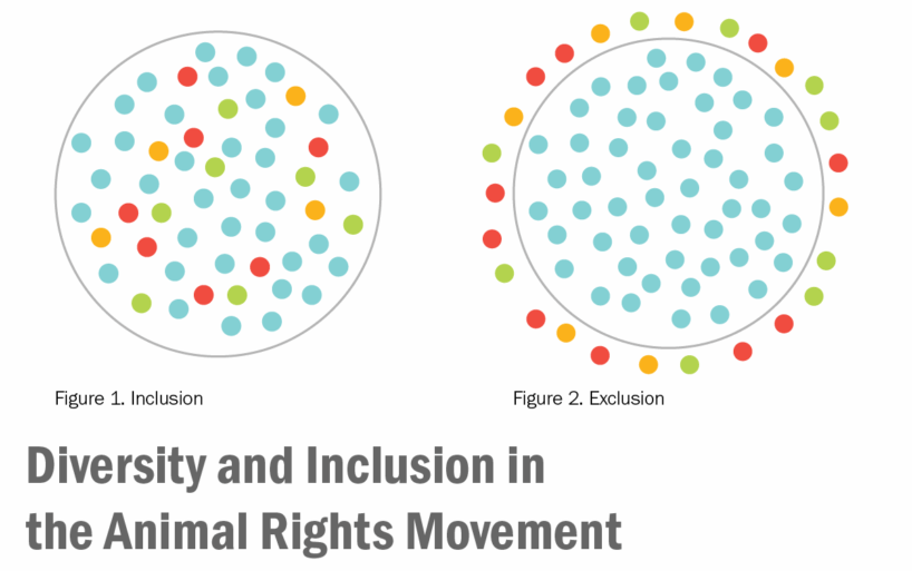 Representation, Equity, and Inclusion in the Animal Rights Movement ...
