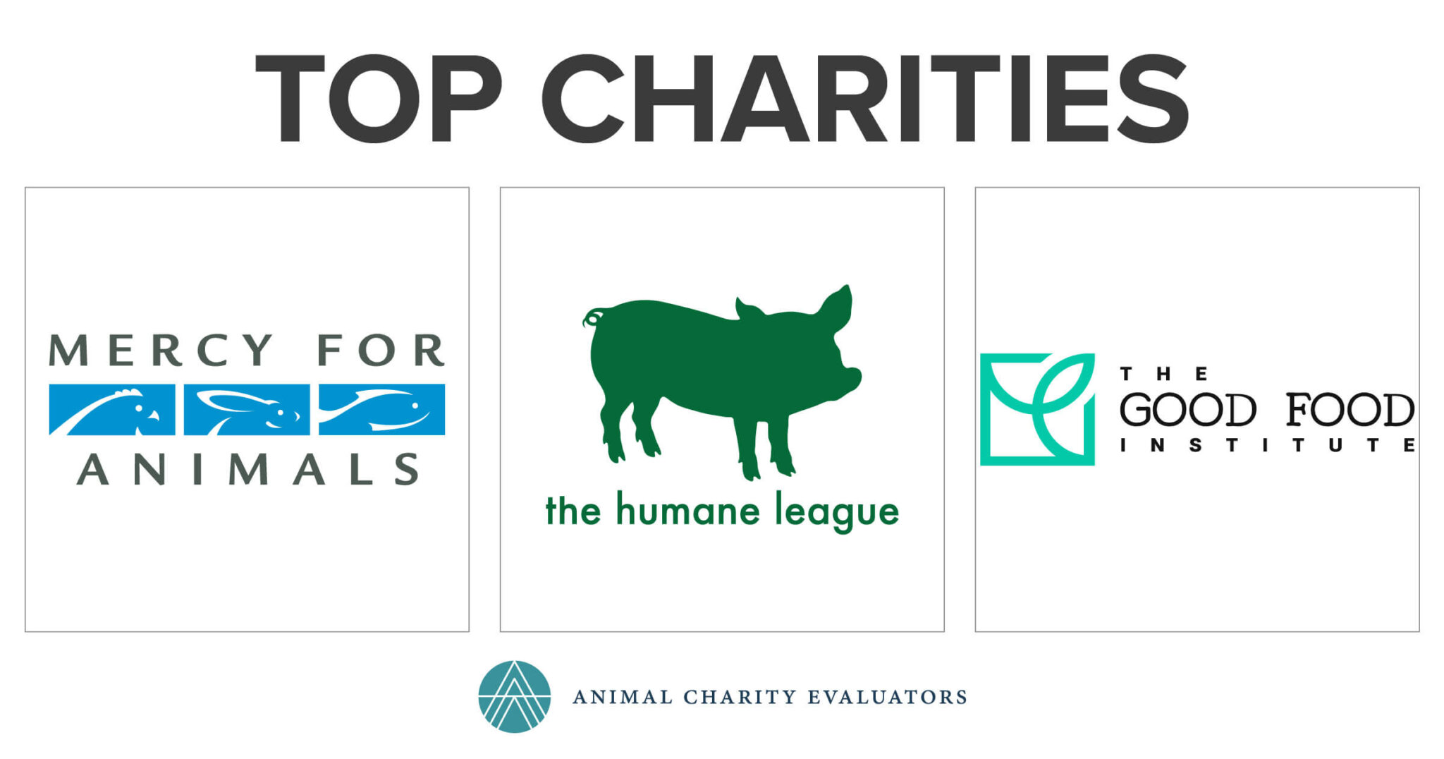 Updated Recommendations: December 2016 - Animal Charity Evaluators