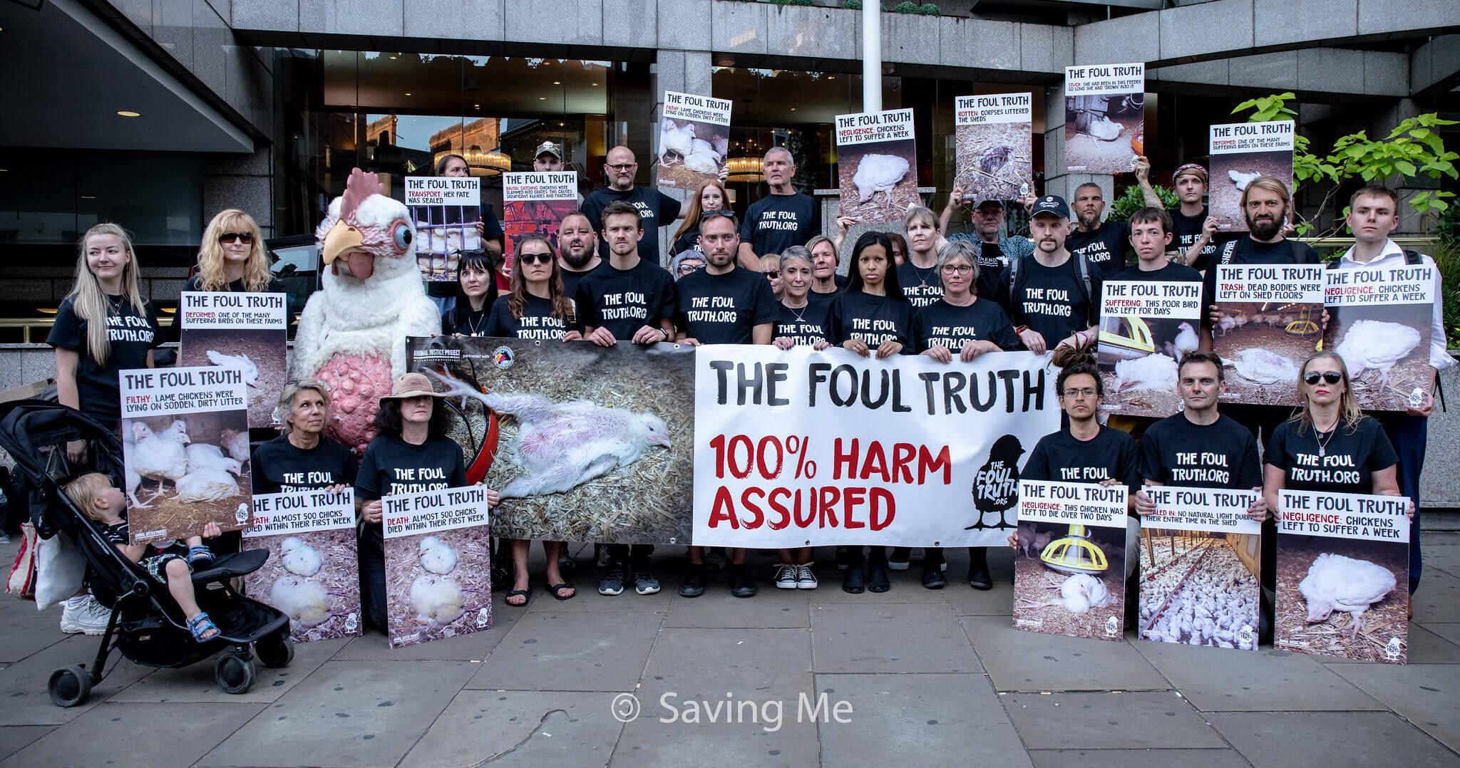 Effective Animal Advocacy Fund: Spring 2019 Grantee Updates - Animal ...