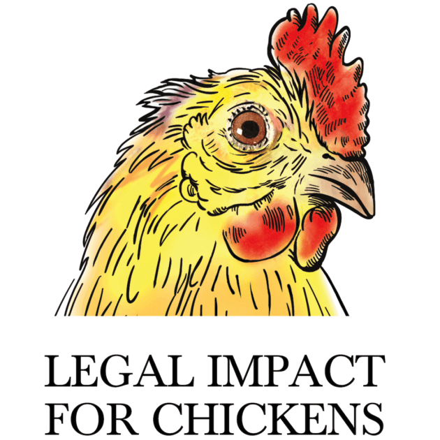Announcing the Charities Under Evaluation in 2023 - Animal Charity ...