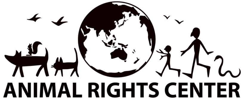 Top 11 Animal Charities to Donate to in 2025