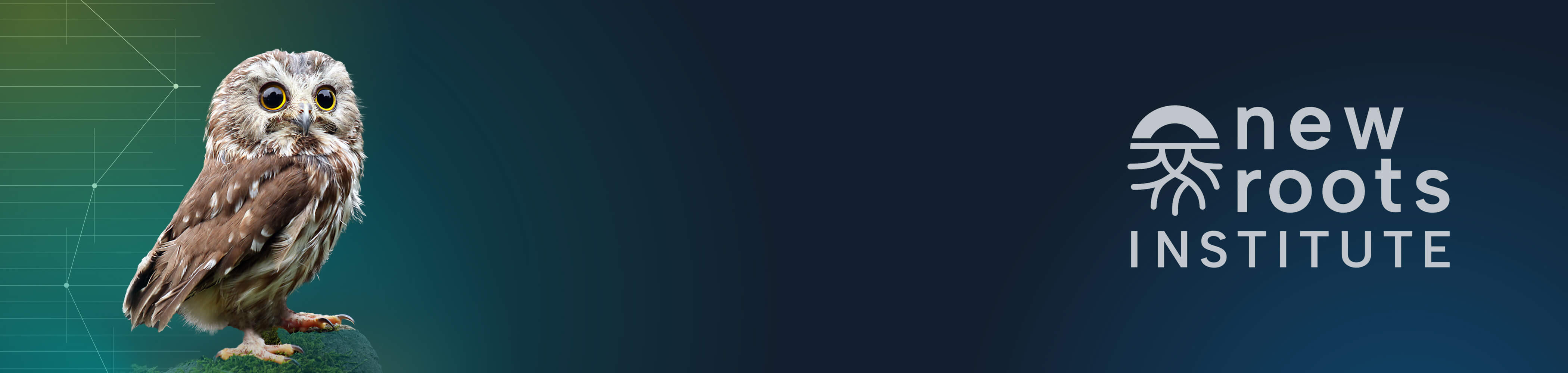 New Roots Institute Review - 2023 Recommended Charity