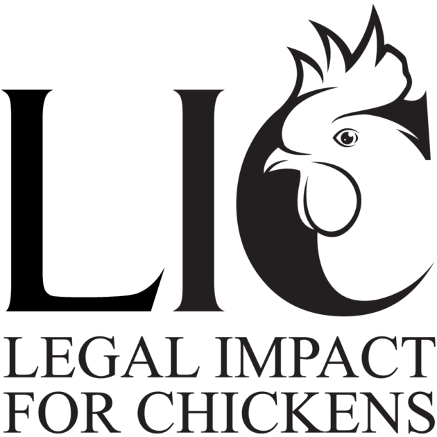 Top 11 Animal Charities to Donate to in 2025