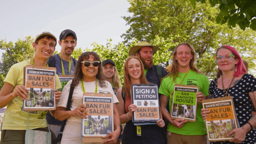 Lessons from a New Wave of Pro-Animal Ballot Initiatives - Animal ...