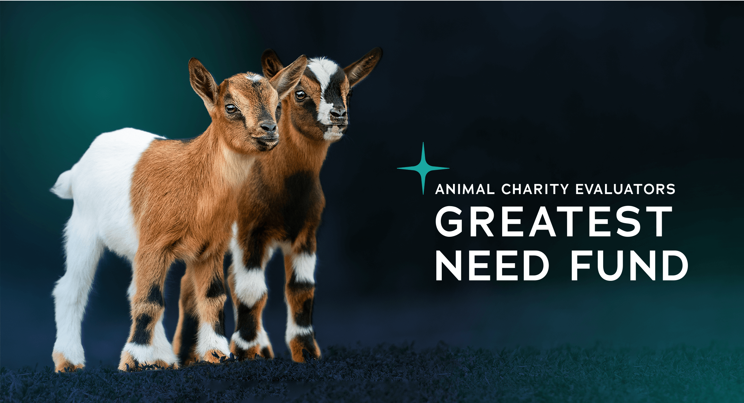 The Greatest Need Fund